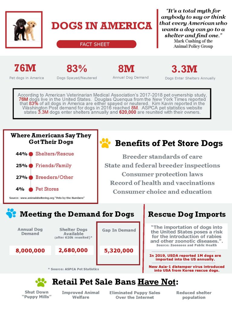 Sources of Dogs Infographic - Petland